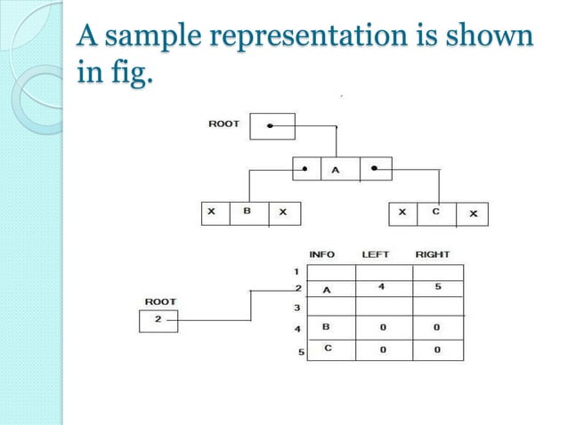 Representation Of Binary Tree In Memory Pptx Programming Languages