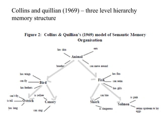 Semantic Network Model Of Memory