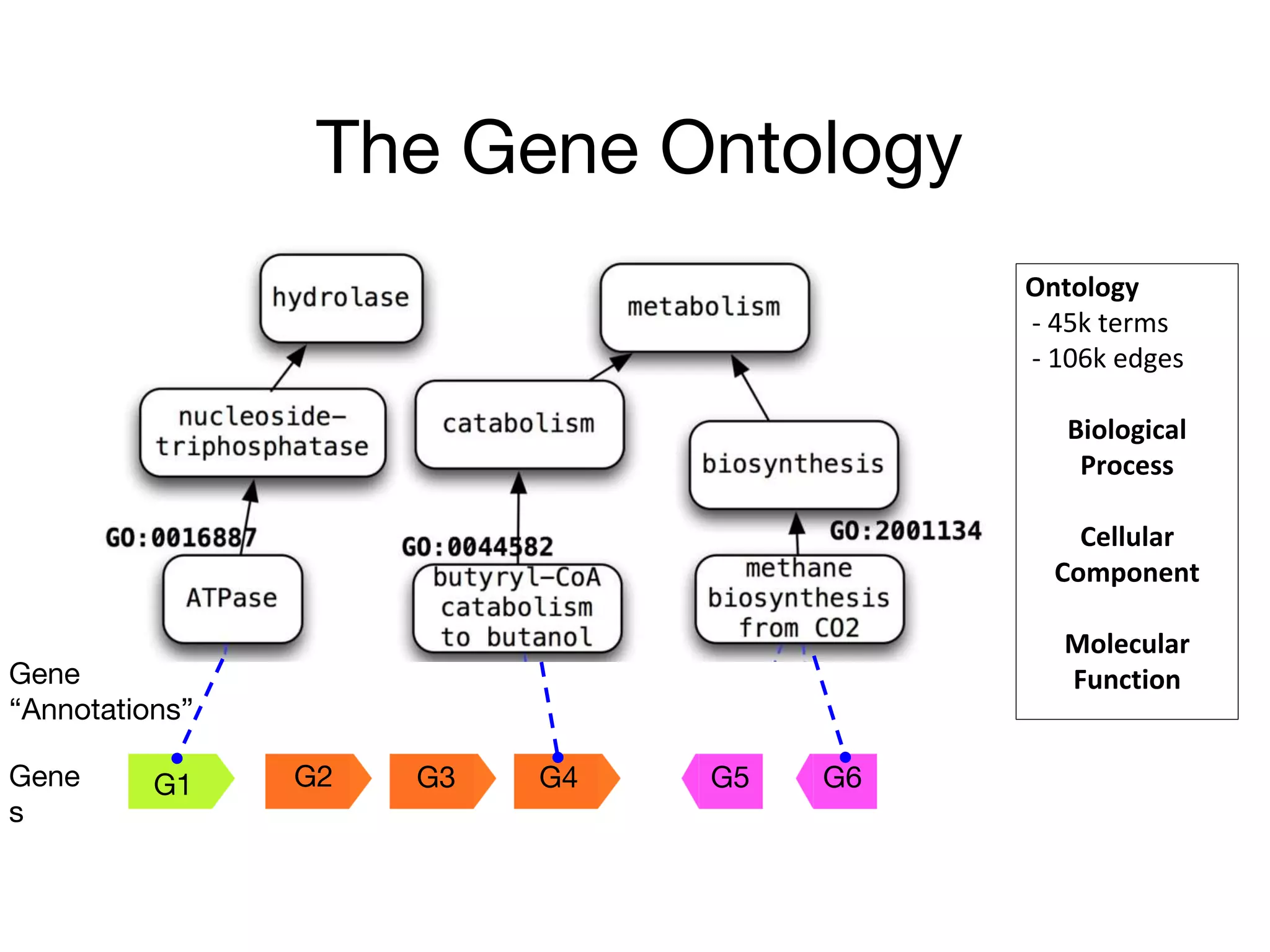 Representing and reasoning with biological knowledge | PPTX | Web Development | Internet