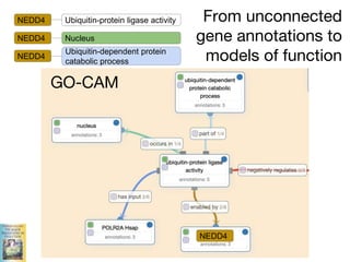 Representing and reasoning with biological knowledge | PPTX | Web Development | Internet