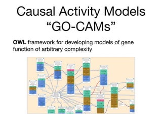 Representing and reasoning with biological knowledge | PPTX | Web Development | Internet