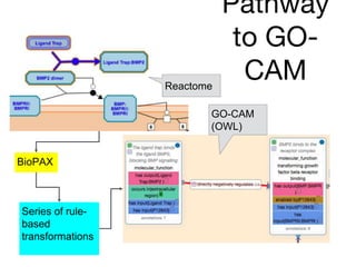 Representing and reasoning with biological knowledge | PPTX | Web Development | Internet