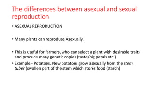 Repr in plants | PPTX