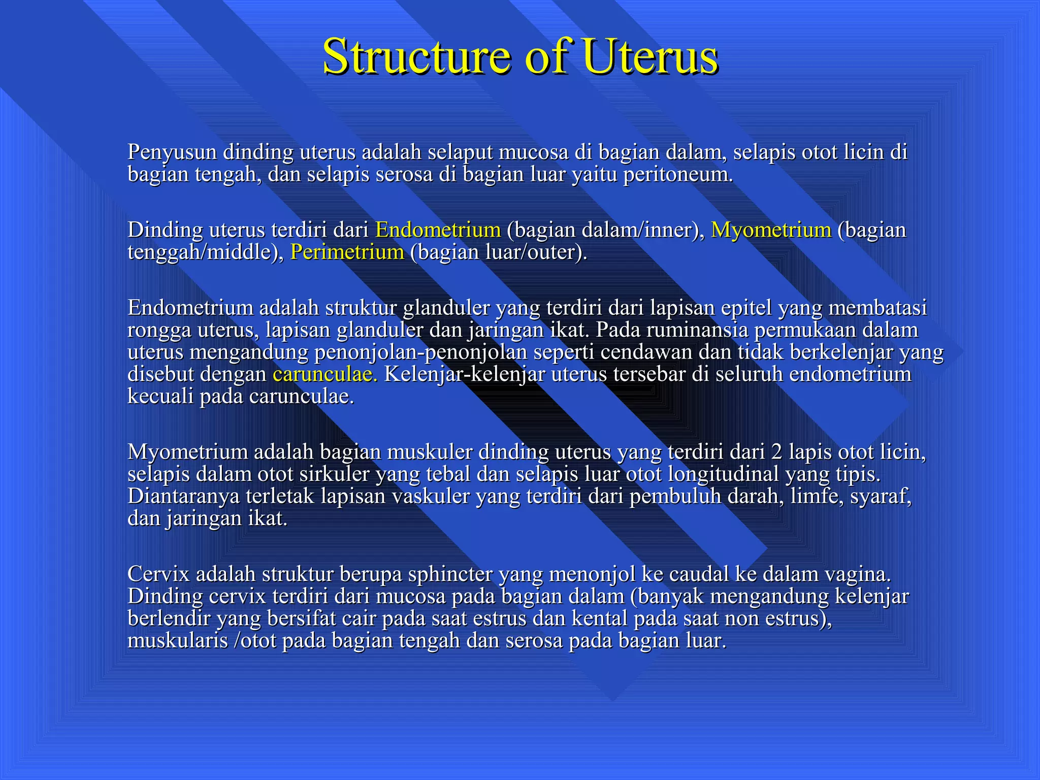 Repro betina ppt | PPT