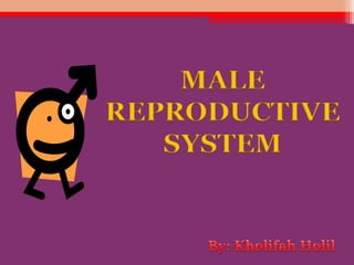 male reproductive system | PPT
