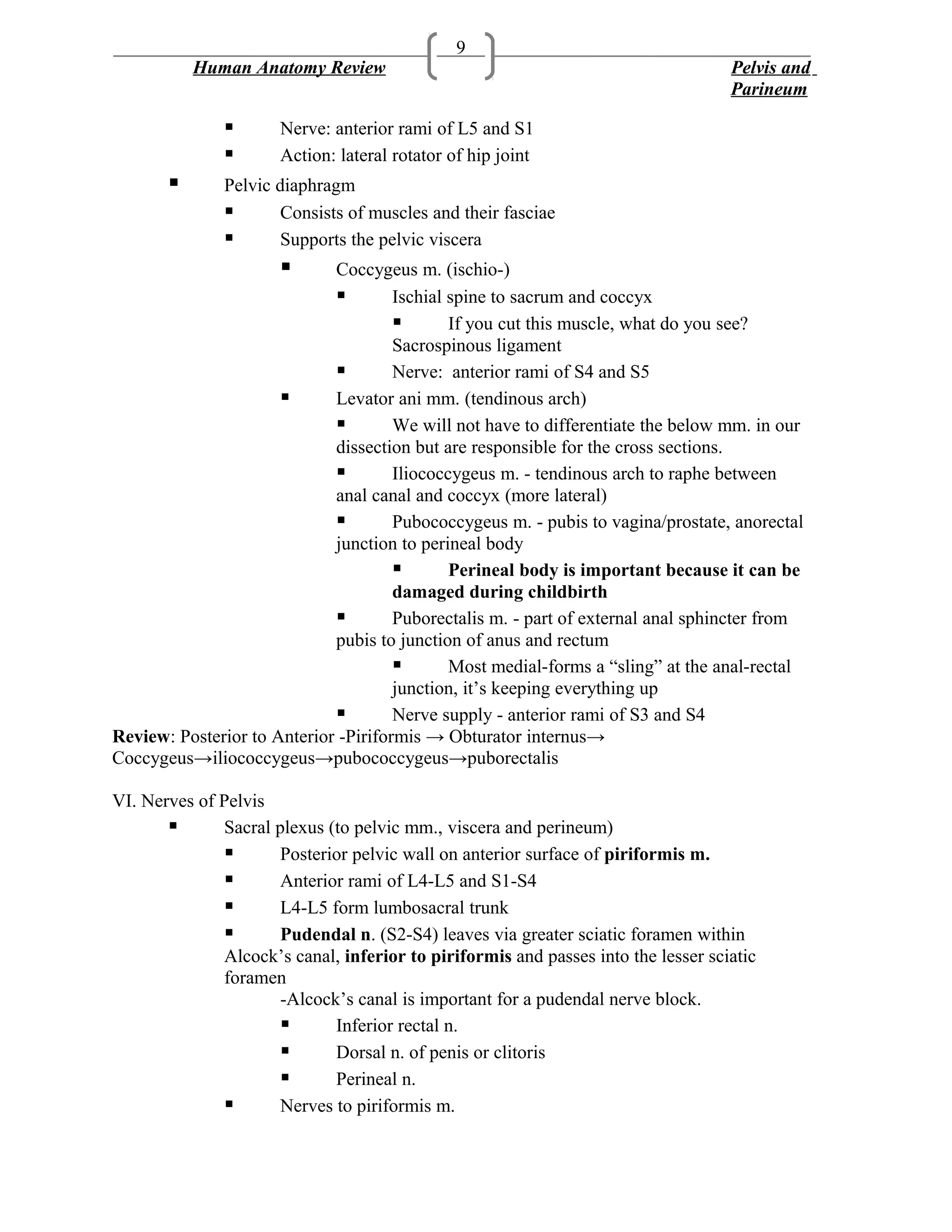 viva questions of Pelvis and Perinium anatomy | DOC