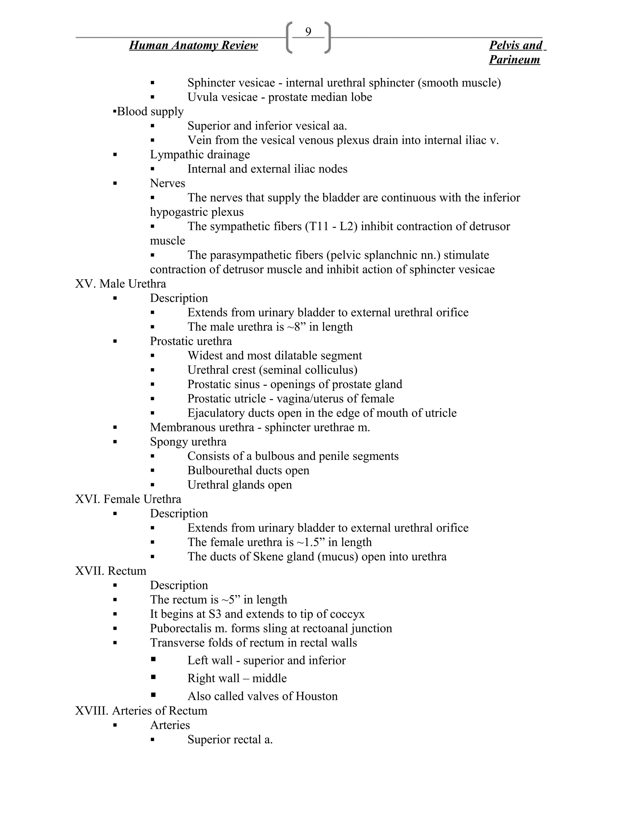 viva questions of Pelvis and Perinium anatomy | DOC