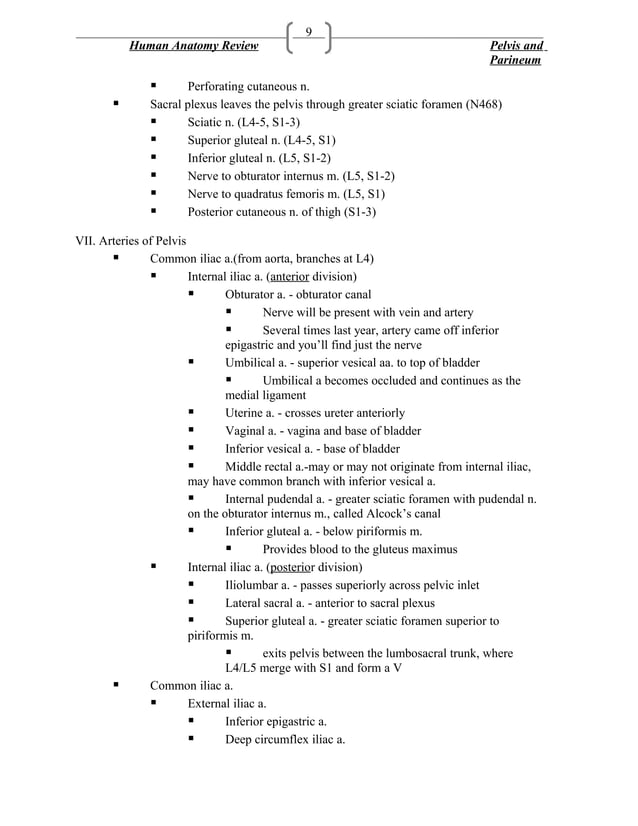viva questions of Pelvis and Perinium anatomy | DOC