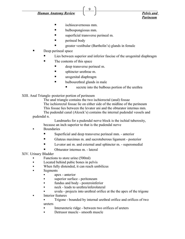 viva questions of Pelvis and Perinium anatomy | DOC