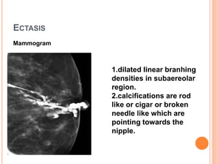 pathanatomy Reproductive system | PPT
