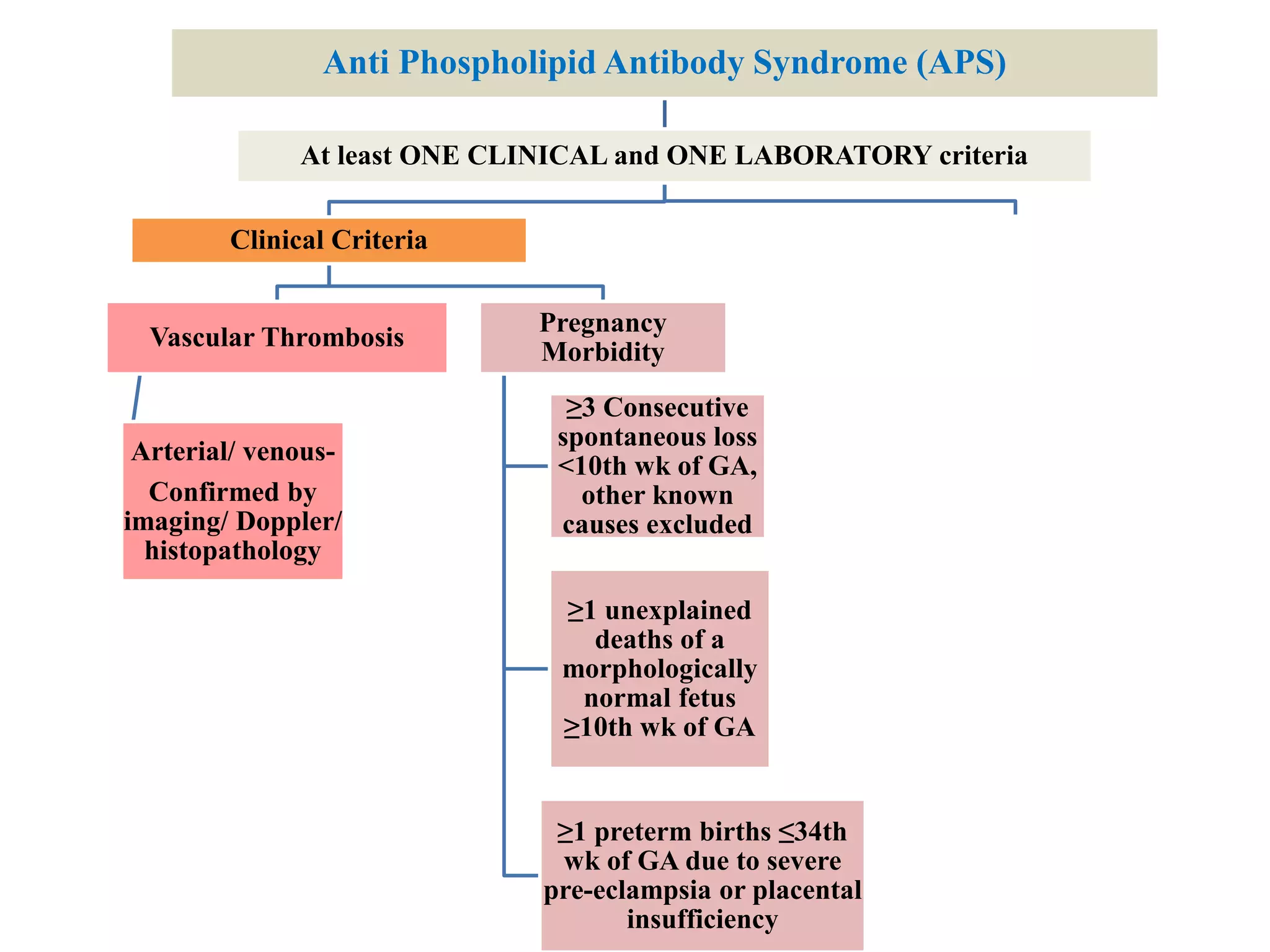 Reproductive Immunology | PPTX