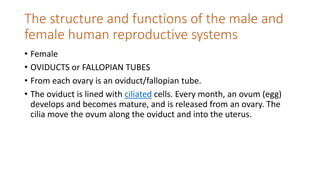 Reprod in humans | PPT