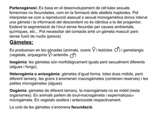 Reproducció en eucariotes pluricel·lulars | PPT