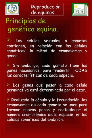 Reproducción 1 ude (clase 15 y 16) | PPT