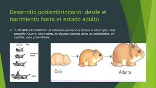 Reproducción animal | PPTX