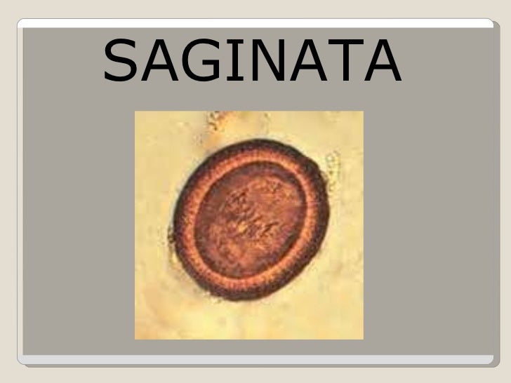 Reproducción de cestodos