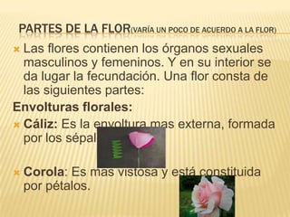 Reproducción en plantas y animales | PPTX
