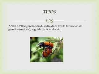 Trabajo Reproducción en seres vivos | PPTX