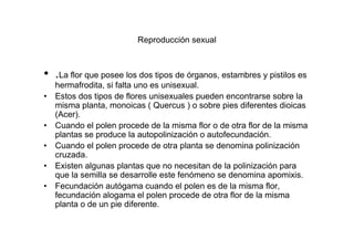 Reproduccin vegetal la_semilla. | PDF