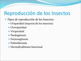 Reproducción y desarrollo de insectos.pdf