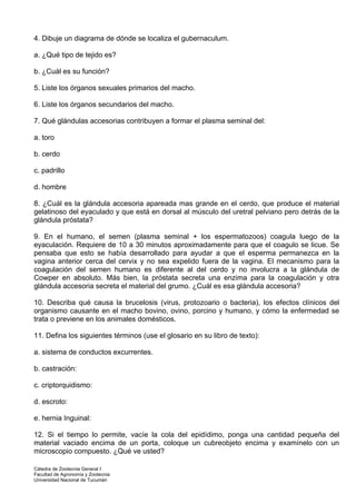 Reproduccion | PDF