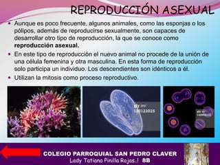 Reproduccionanimal 120806192316-phpapp02 | PPT