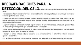 REPRODUCCION ANIMAL - SISTEMA REPRODUCTOR DE CERDOS - EXPOSICION.pptx