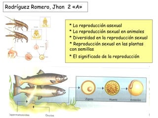 Reproduccion animal (2 a) | PPT