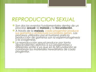 Reproduccion Asexual y Sexual en Animales | PPT