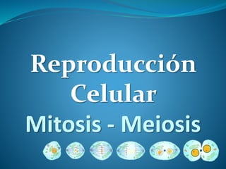 Reproduccion Celular | PPTX