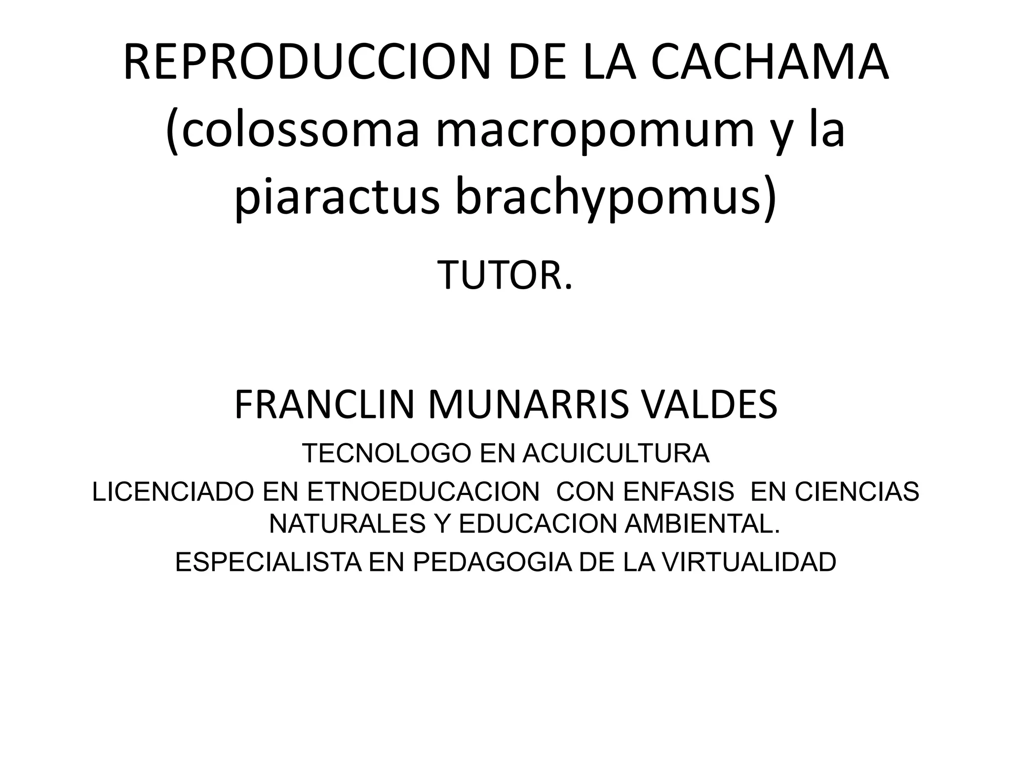 Reproduccion de la cachama | PPTX