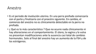 Reproduccion_en_caninos.pptx