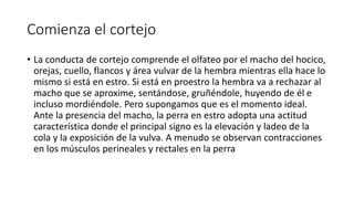Reproduccion_en_caninos.pptx