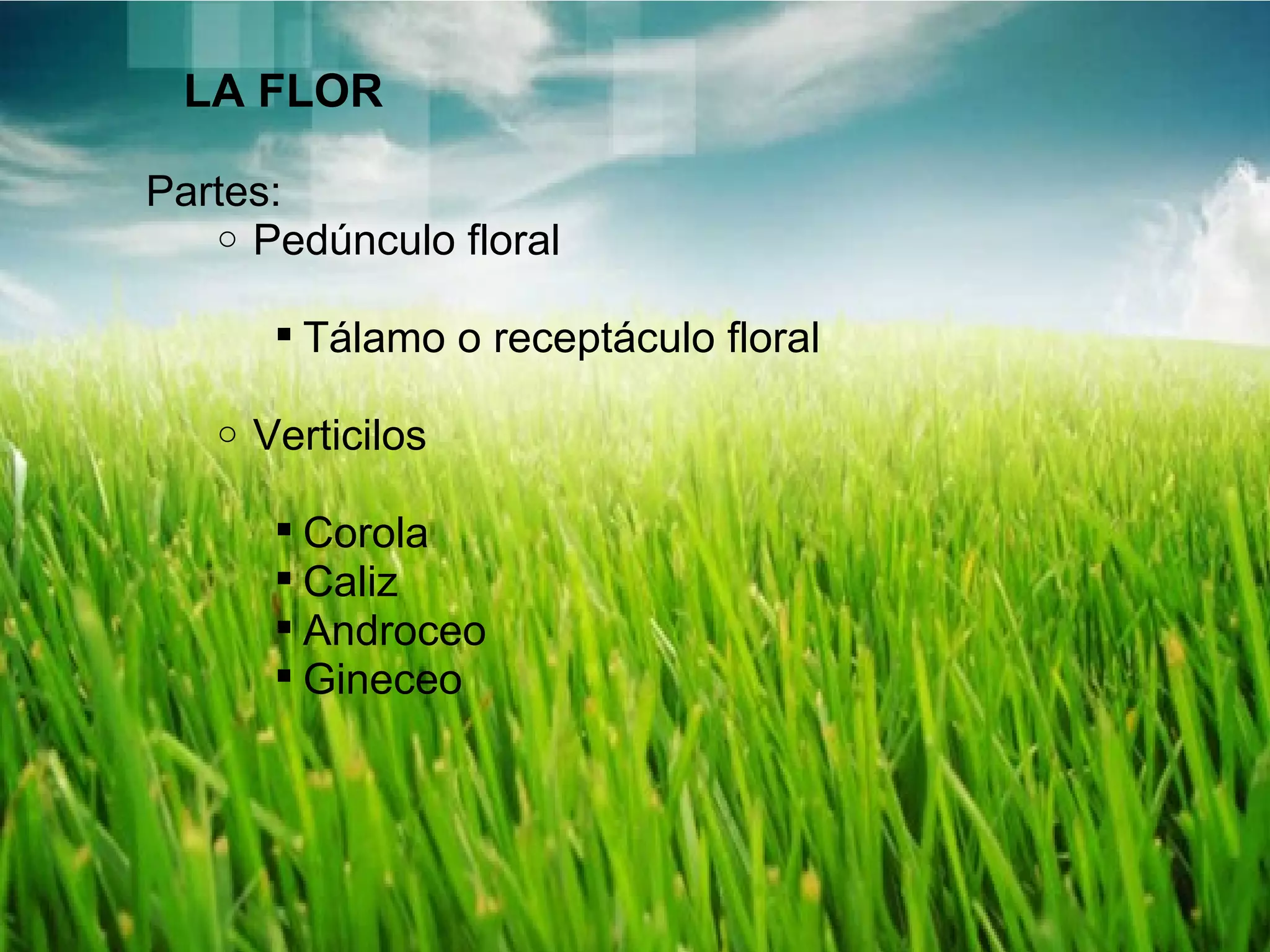 Reproduccion en las plantas | PPT