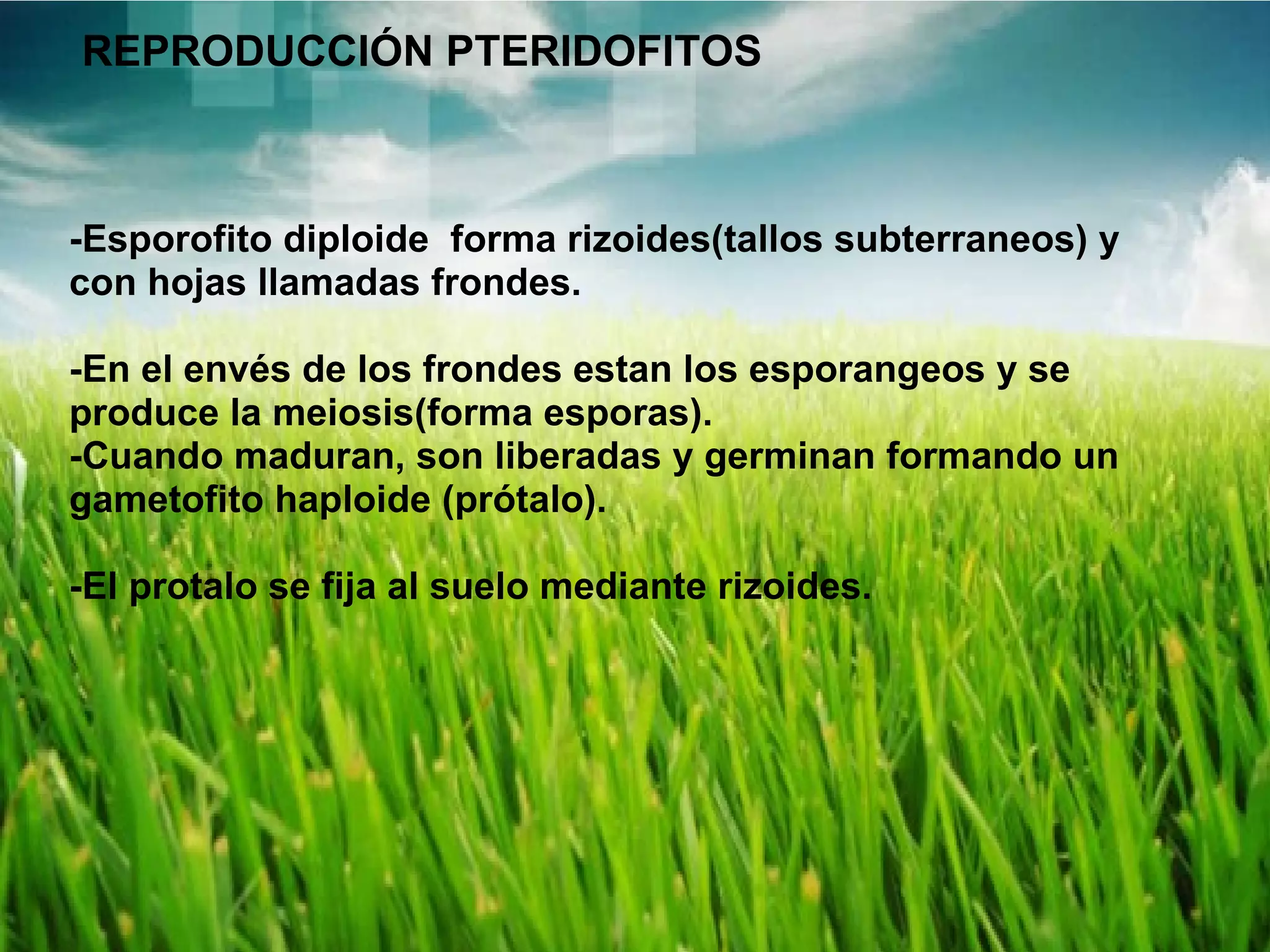 Reproduccion en las plantas | PPT
