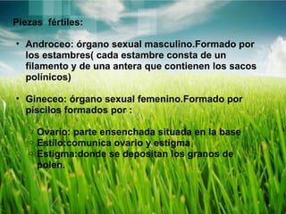 Reproduccion en las plantas | PPT