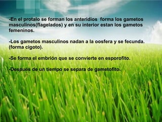 Reproduccion en las plantas | PPT