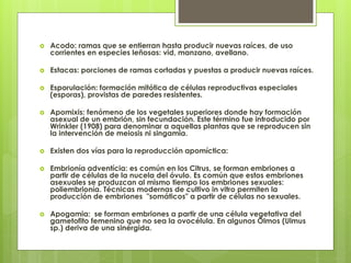 Reproduccion en los seres vivos | PPTX