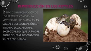 reproduccion en peces, anfbios, y reptiles.pptx
