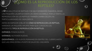 reproduccion en peces, anfbios, y reptiles.pptx