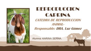 IMPORTANCIA DE LA REPRODUCCION ANIMAL EN ESTE CASO EN CAPRINOS | PPTX