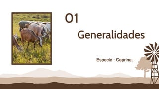 IMPORTANCIA DE LA REPRODUCCION ANIMAL EN ESTE CASO EN CAPRINOS | PPTX