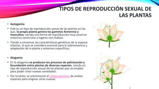 REPRODUCCION PLANTA PRESENTACION DEFINICION.pptx