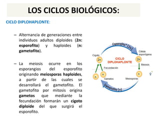 Reproducción en plantas | PPTX