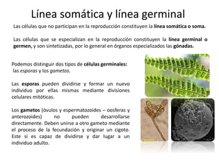 Reproducción en plantas | PPTX