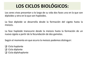 Reproducción en plantas | PPTX
