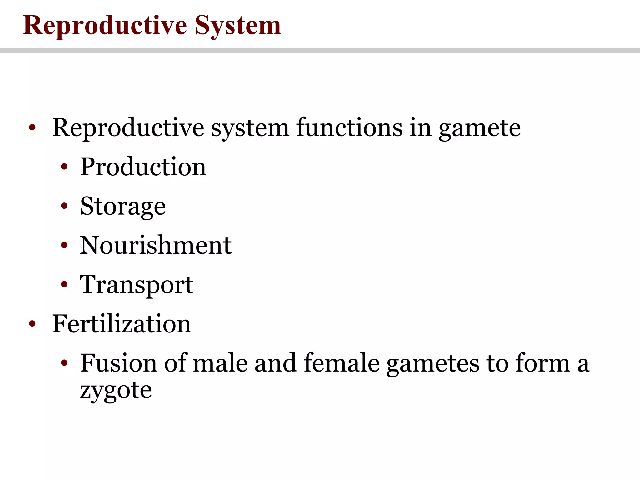 Reproduction | PPT