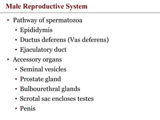 Reproduction | PPT | Pregnancy | Reproductive Health