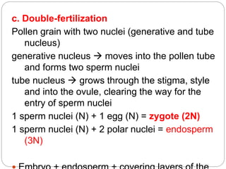 Reproduction | PPTX | Infertility | Reproductive Health