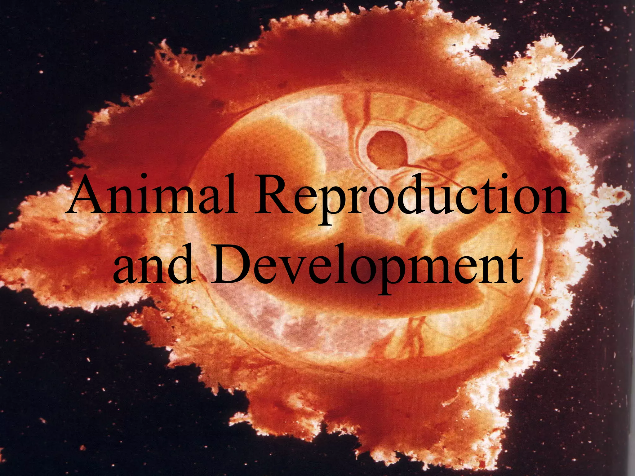Reproduction | PPT | Infertility | Reproductive Health